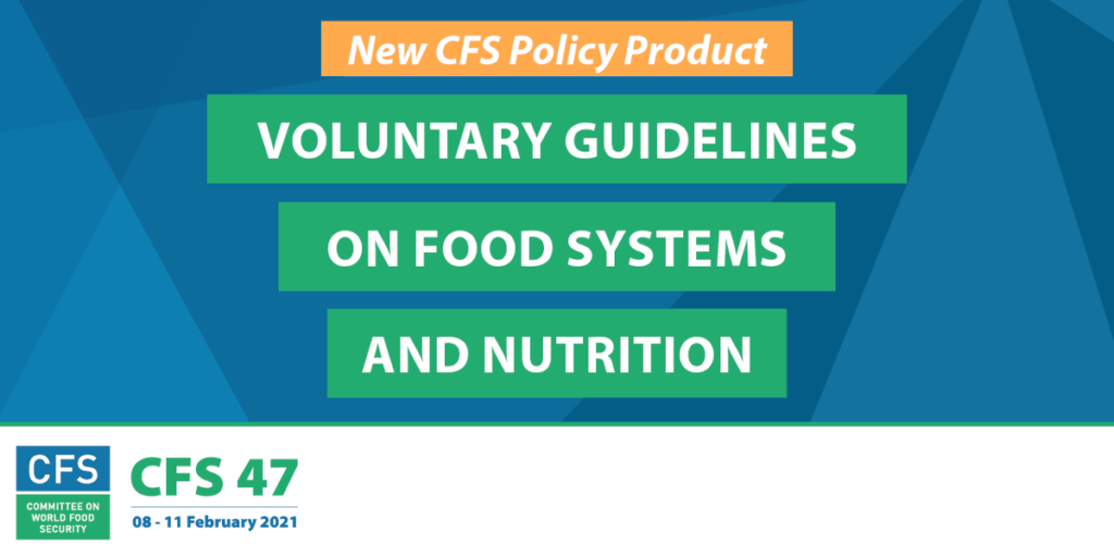 CFS47: Making a Difference in Food Security and Nutrition - Emerging Ag Inc