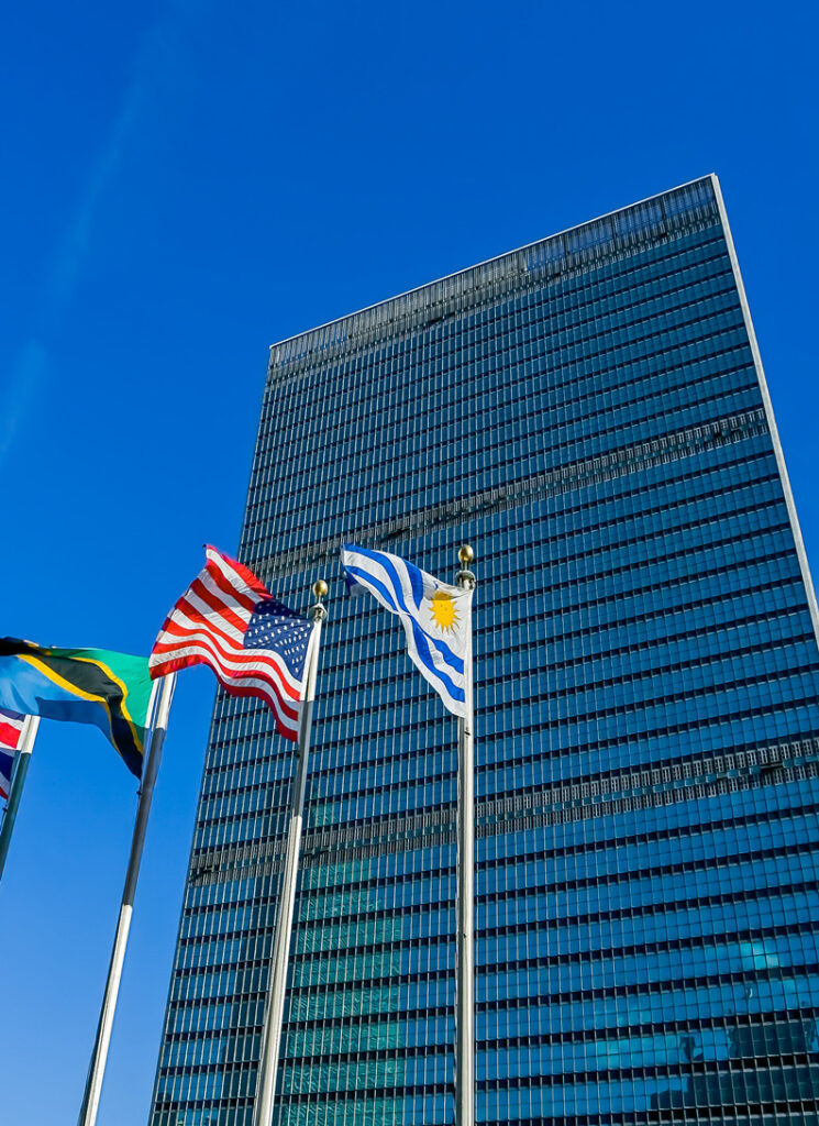 Organizing events at the UN – Emerging Ag Inc